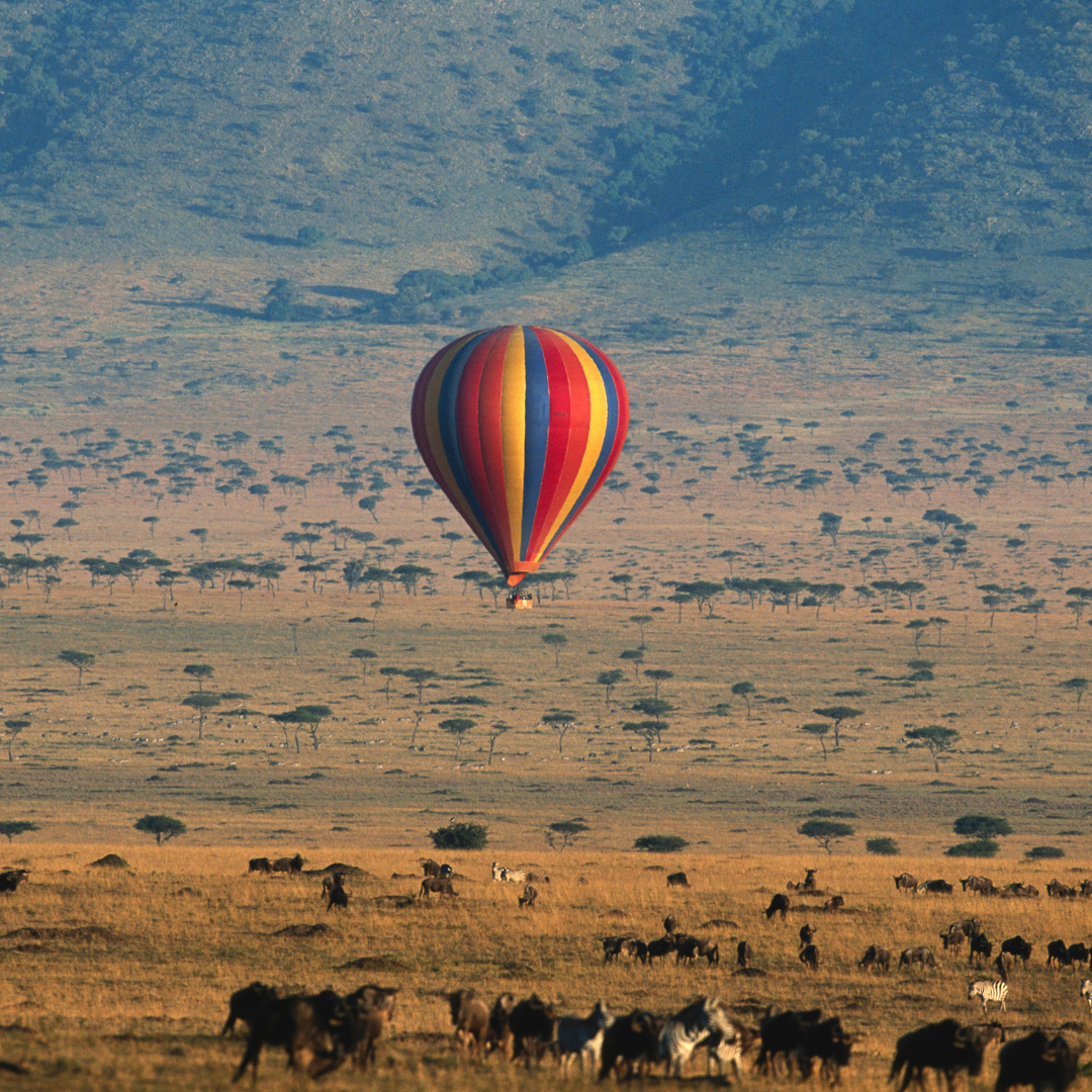 The Top 7 Great Reasons to Visit Kenya - Extravelgance
