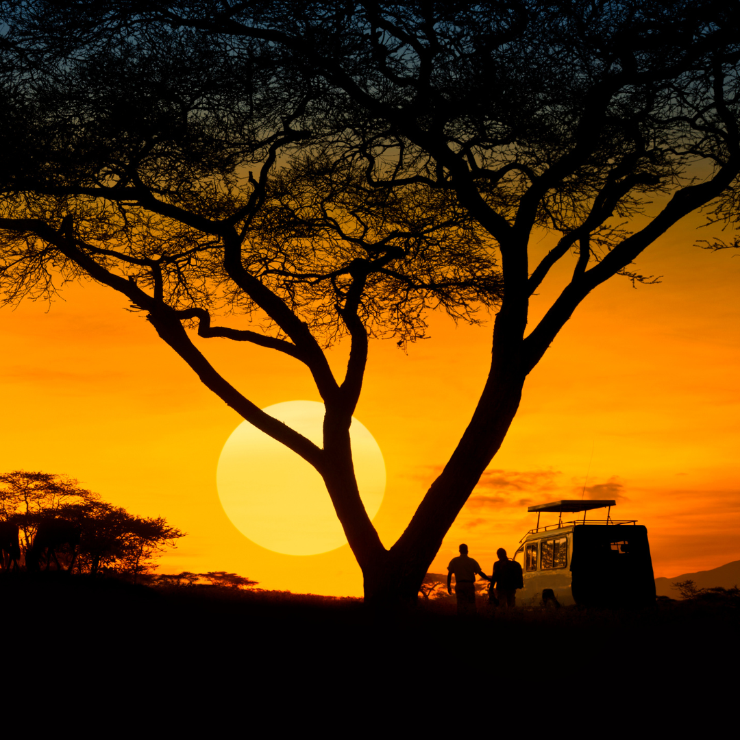 The Top 7 Reasons to Visit Enchanting Ethiopia - Extravelgance