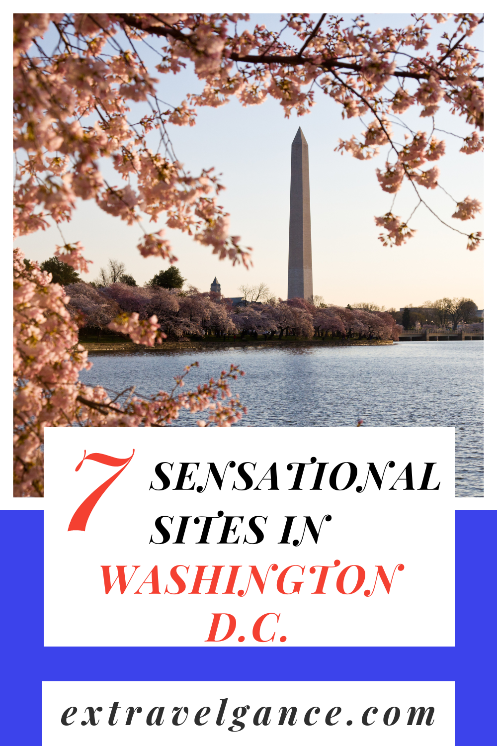 7 Sensational Sites to See in Washington D. C. - Extravelgance