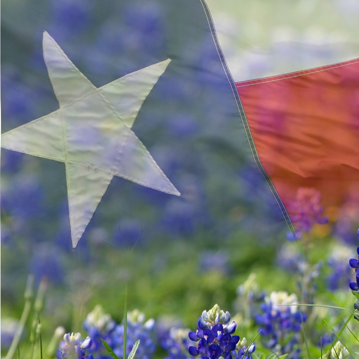 7 Sensational Sites to See in Texas - Extravelgance